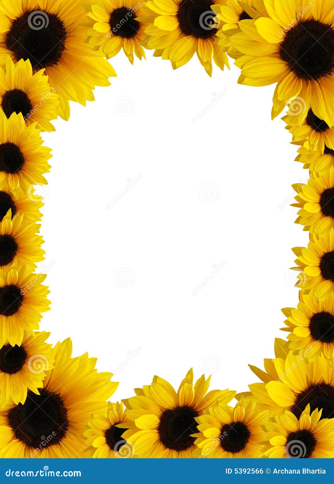 Sunflower Frame Royalty-Free Stock Photography | CartoonDealer.com ...