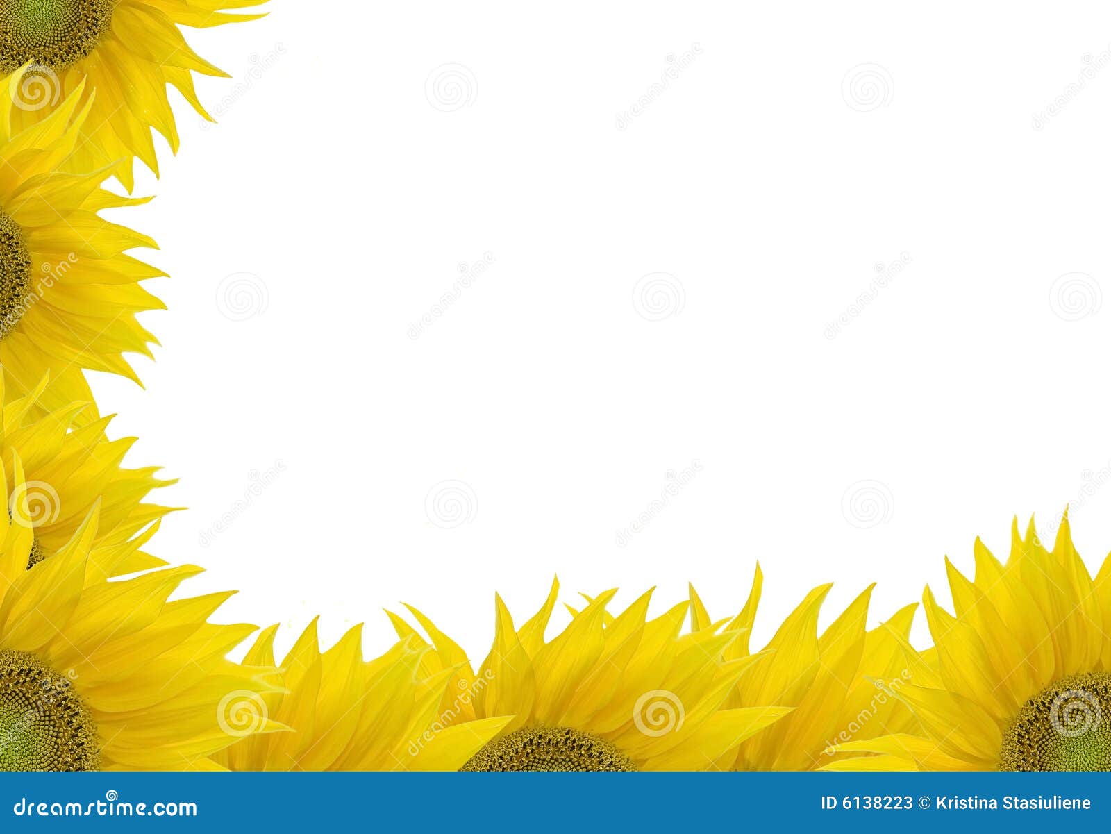 Sunflower frame stock image. Image of flower, blooming - 6138223