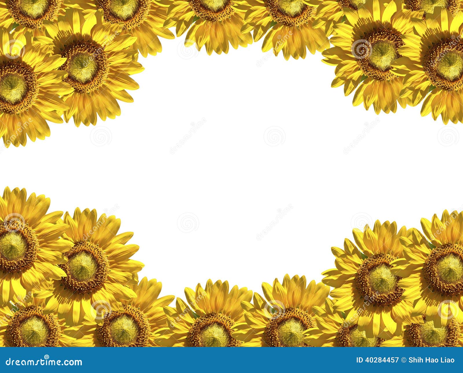 Sunflower frame stock image. Image of enjoyment, copy - 40284457