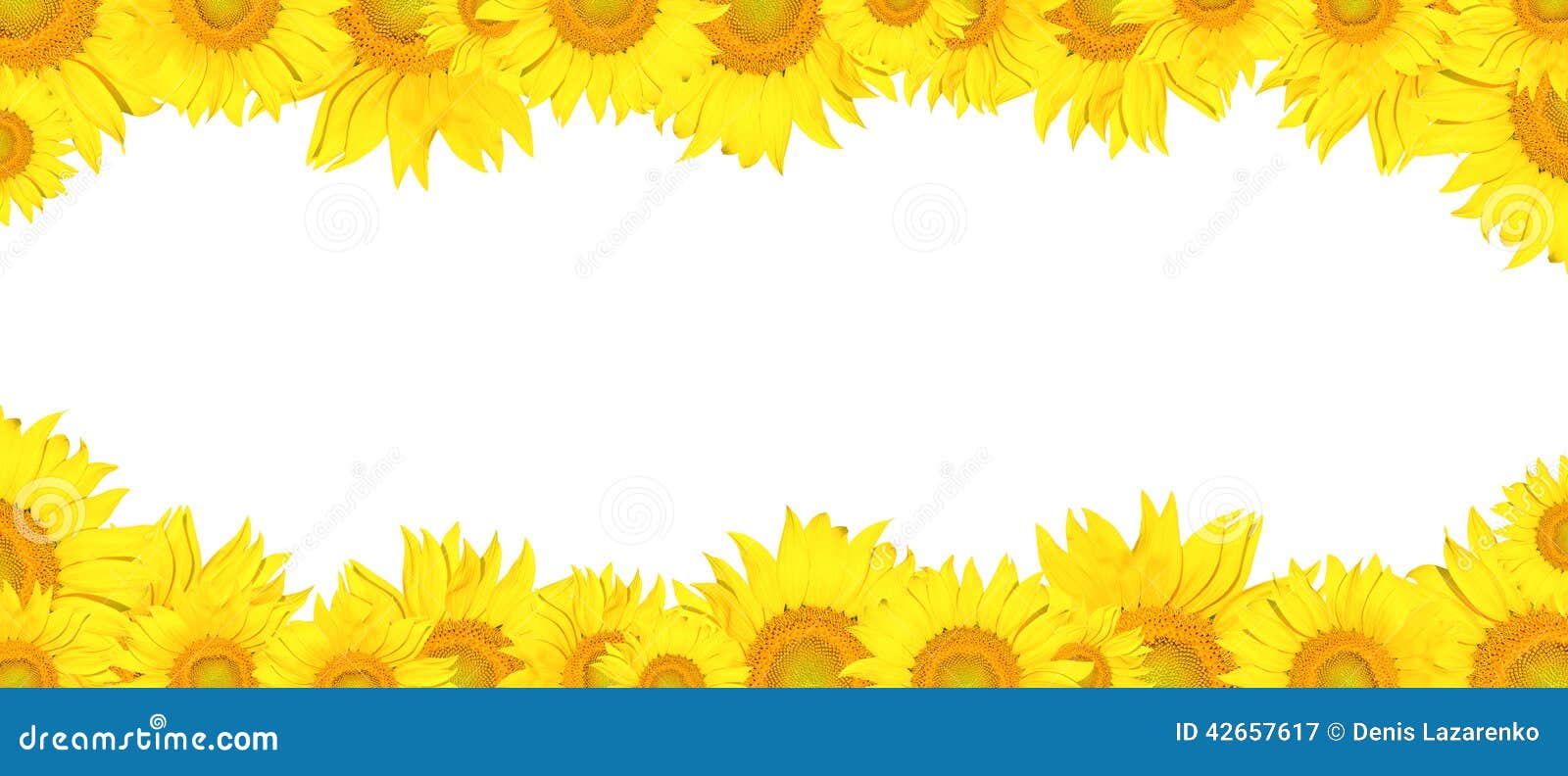 Sunflower frame stock image. Image of background, style - 42657617