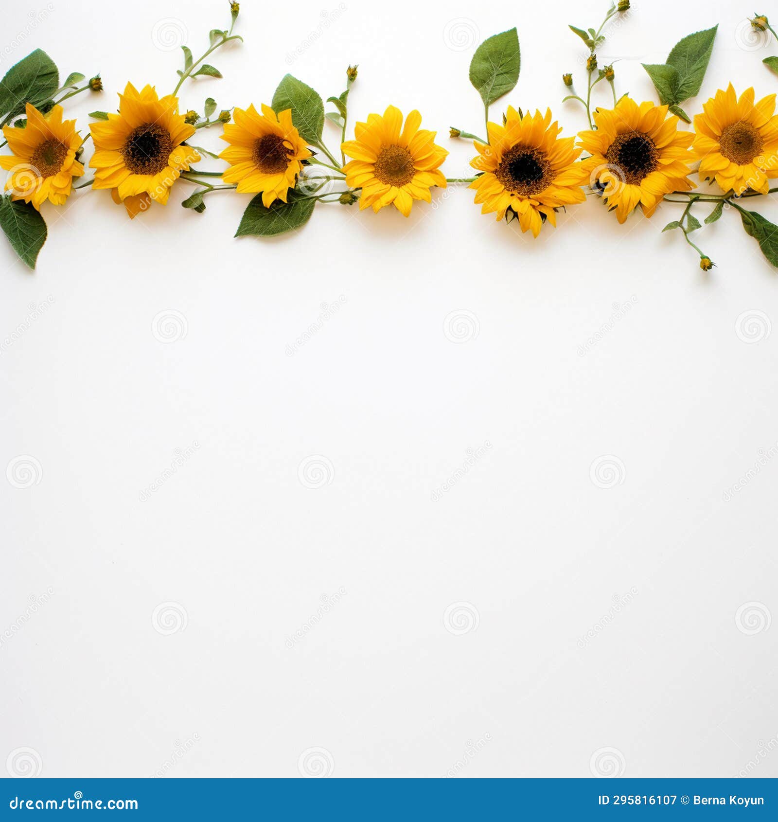 Sunflower Frame Framing the Beauty of Nature Stock Illustration ...