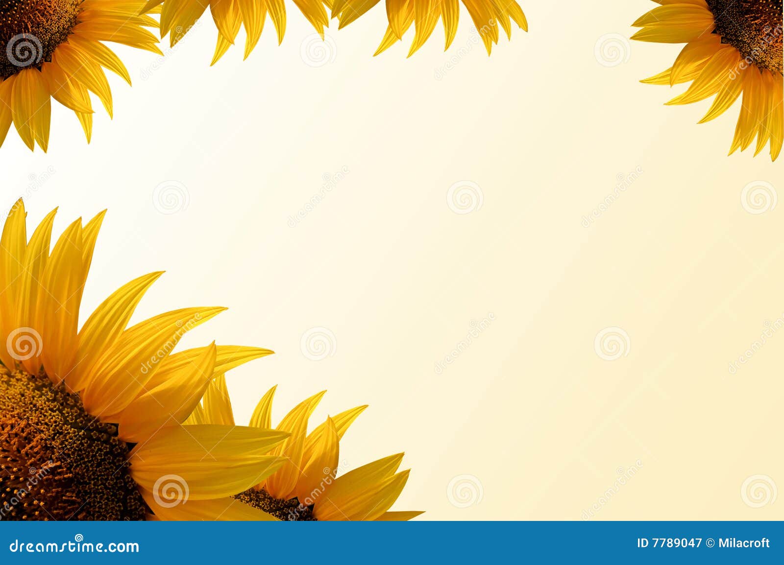 Sunflower Frame Animal Skin Print. Creative Collage Royalty-Free Stock ...