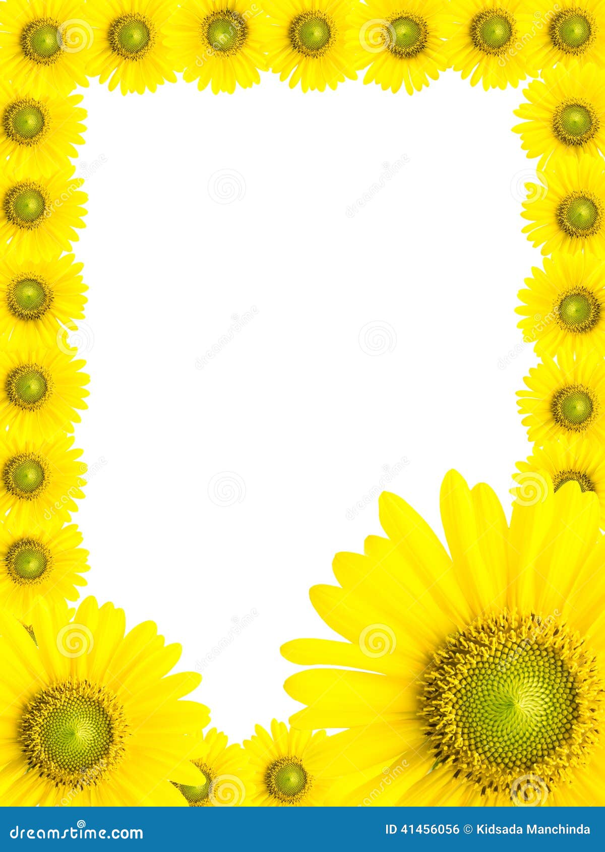 Sunflower frame stock photo. Image of spring, flower - 41456056
