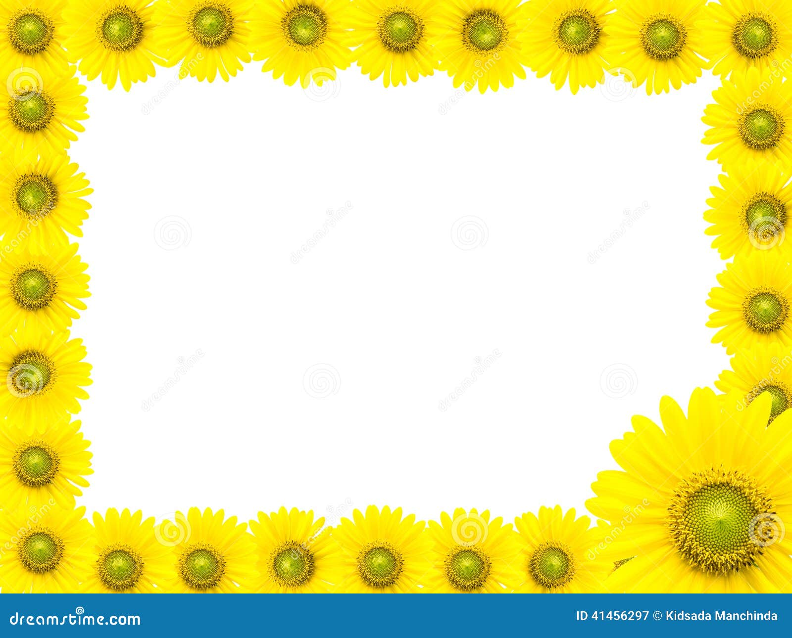 Sunflower frame stock image. Image of natural, flower - 41456297