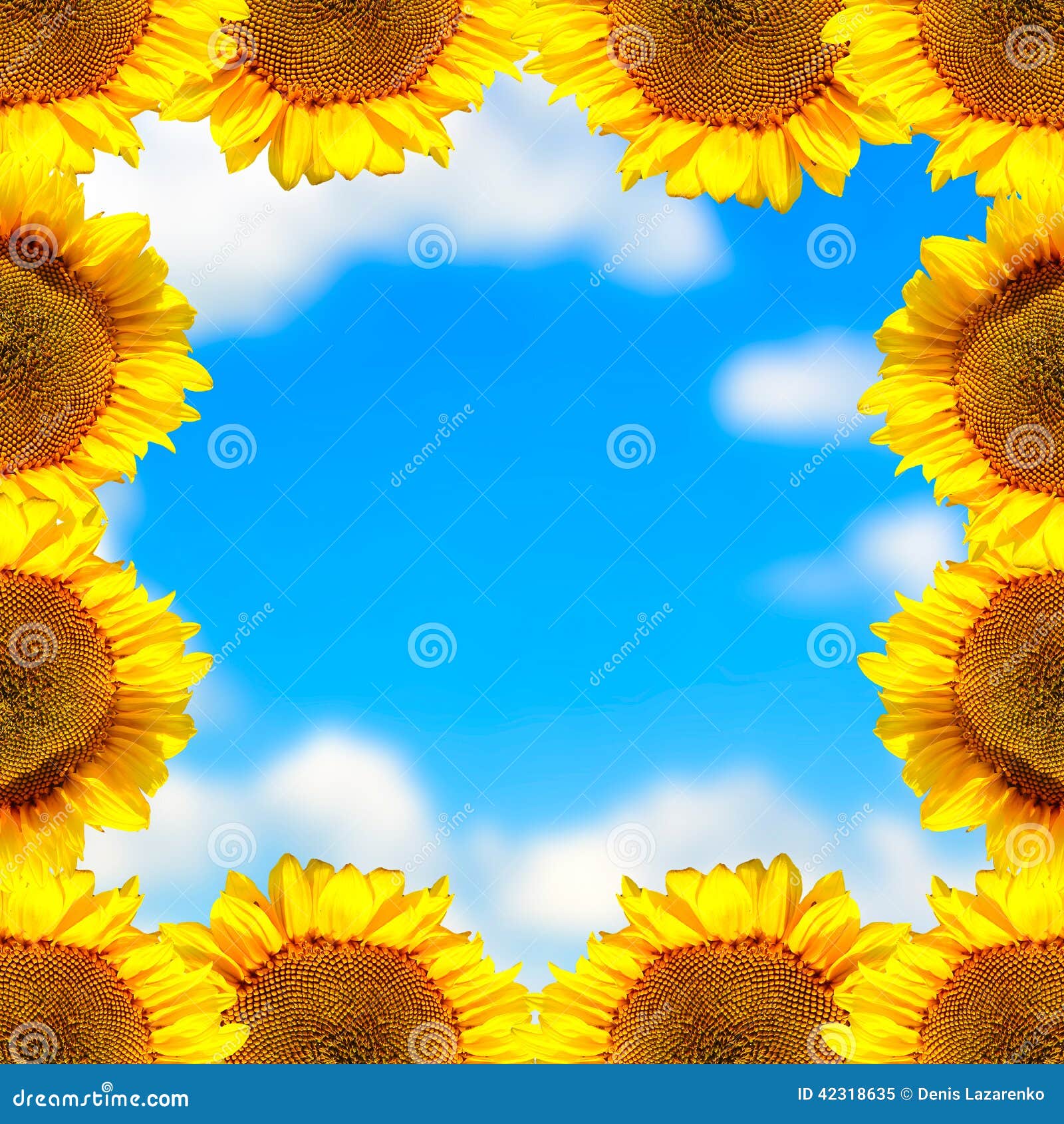 Sunflower frame stock image. Image of background, yellow - 42318635