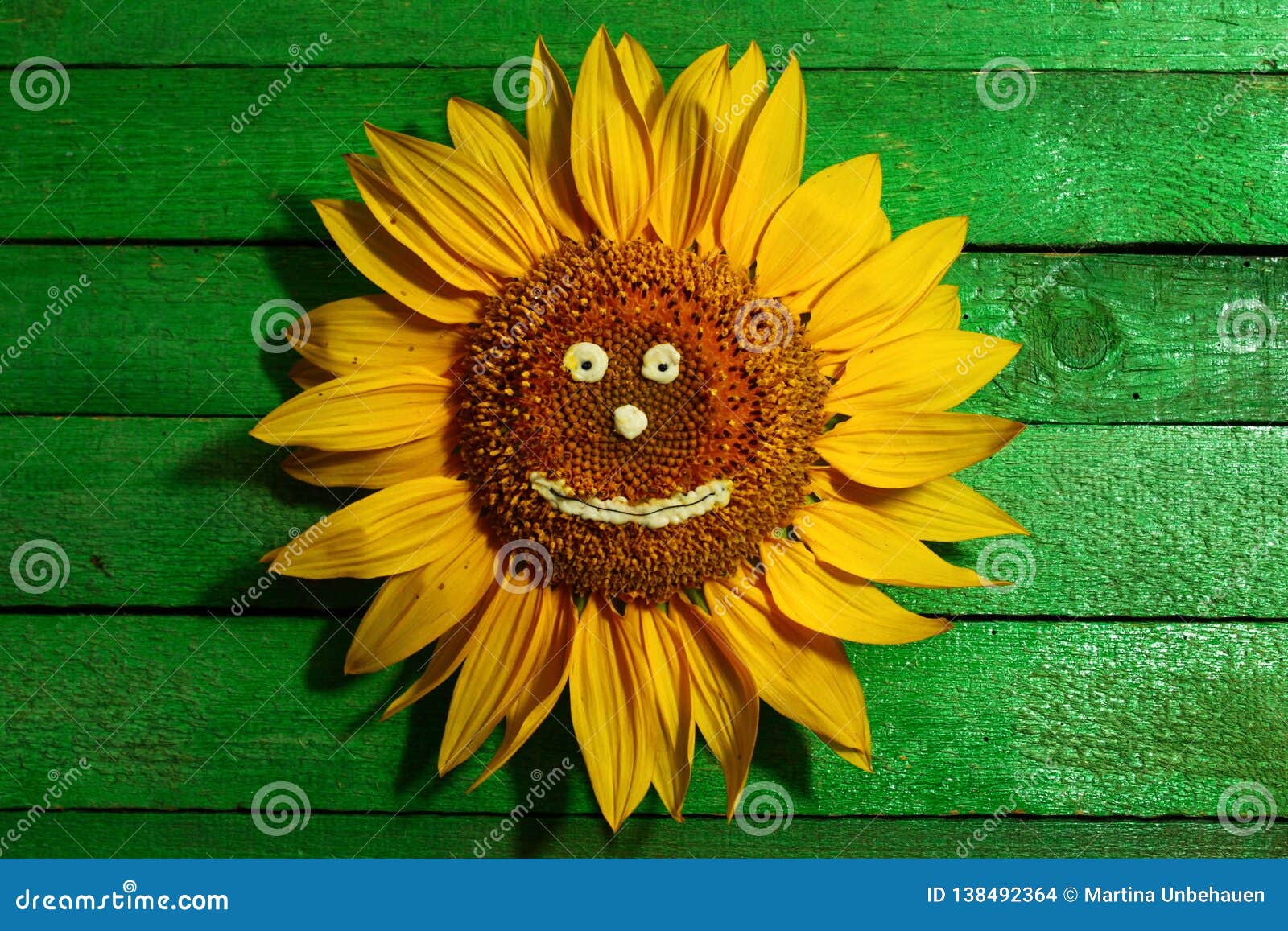 Sunflower with a Funny Face Stock Photo - Image of helianthus, face ...