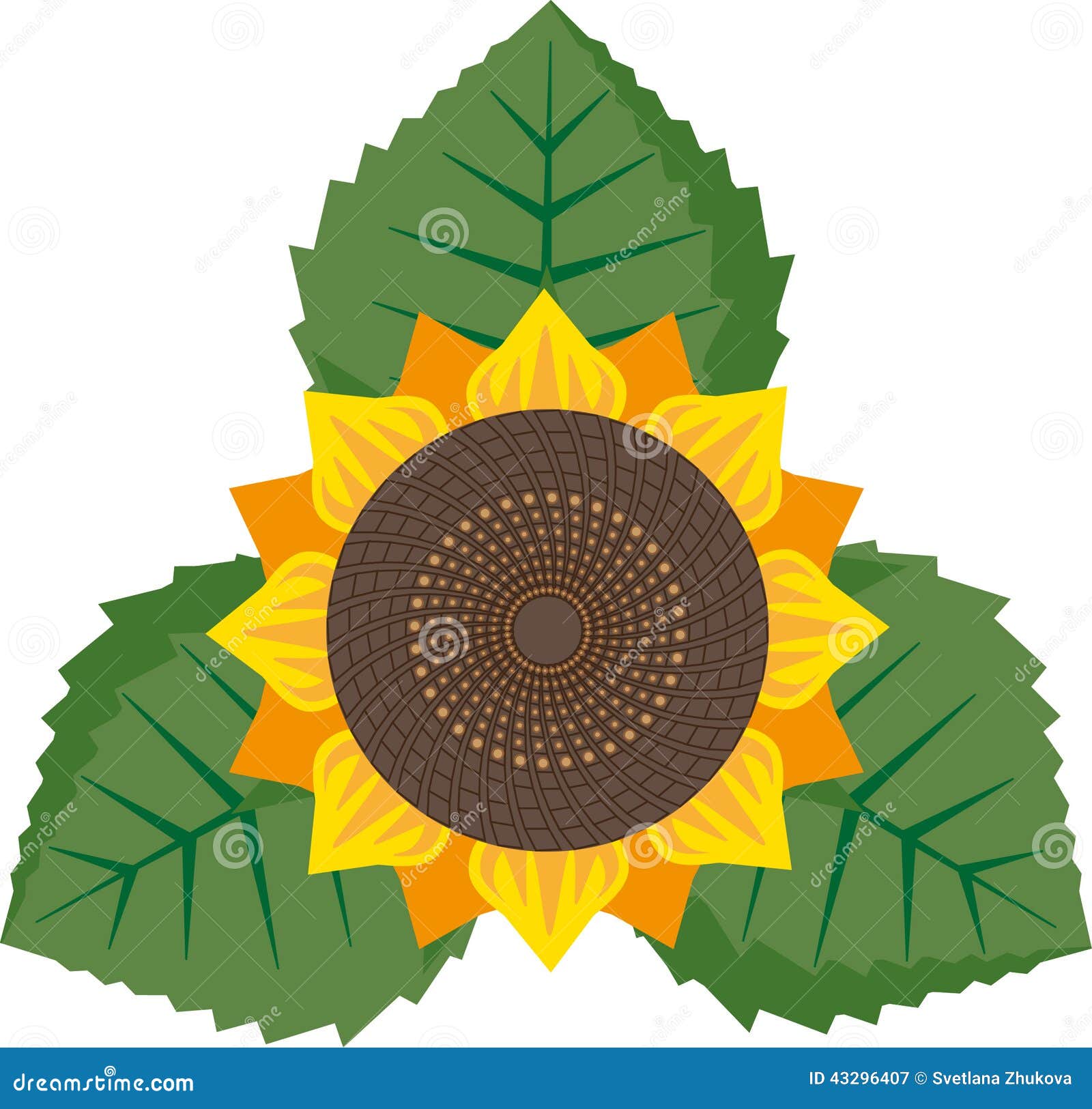 Sunflower stock vector. Illustration of orange, sunflower - 43296407