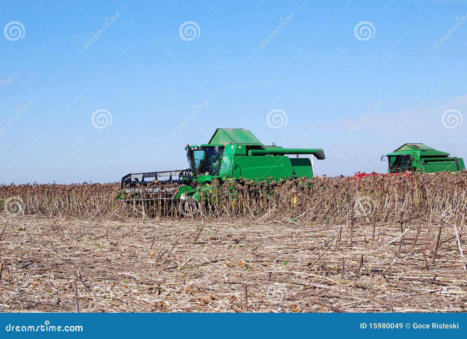 Sunflower Harvest with Combine Stock Image - Image of machinery, plant ...
