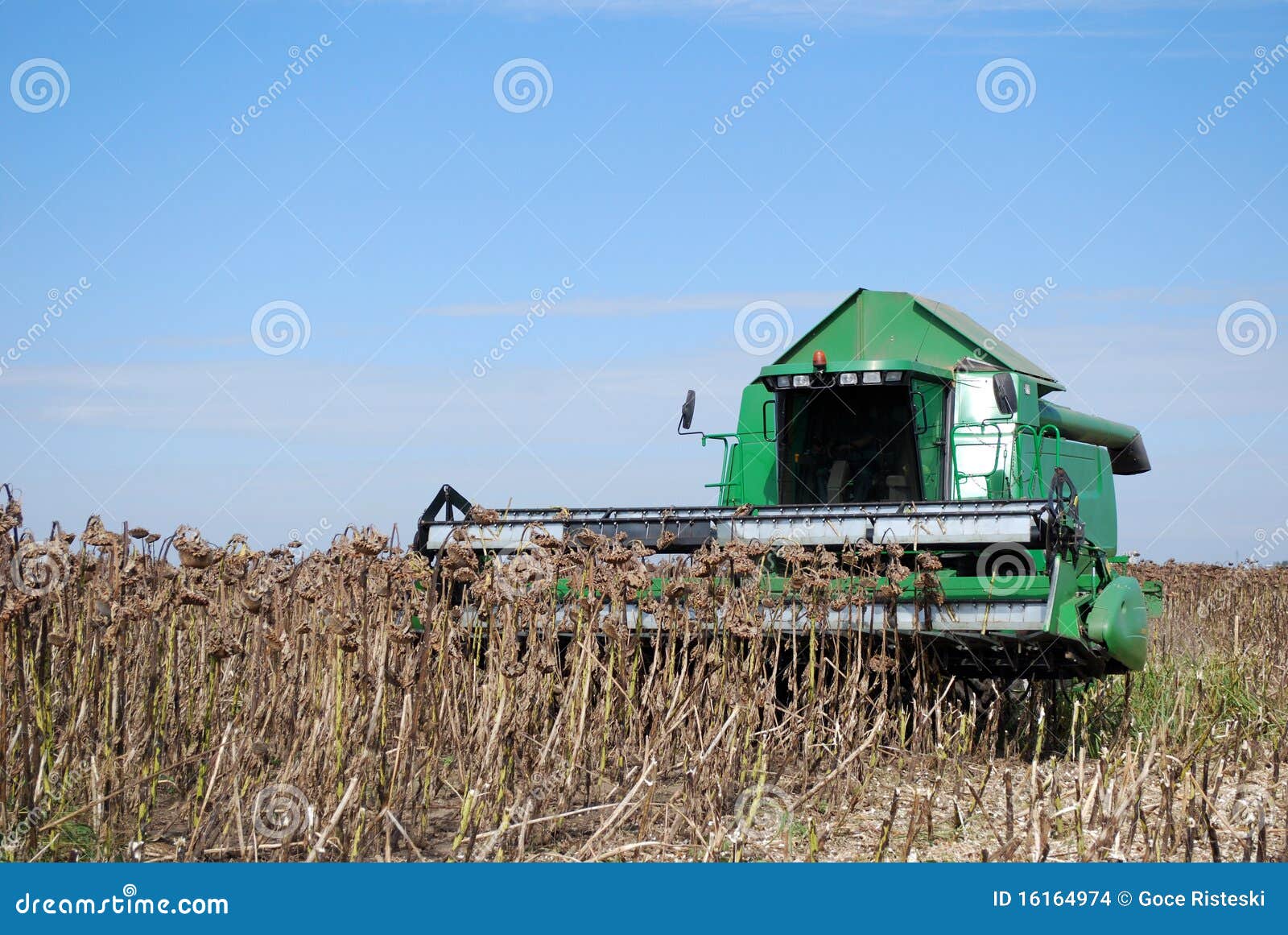 Sunflower Harvesting Equipment
