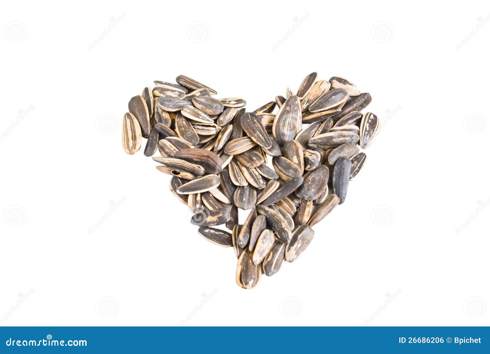 Sunflower hearts. stock photo. Image of seed, coat, closeup - 26686206