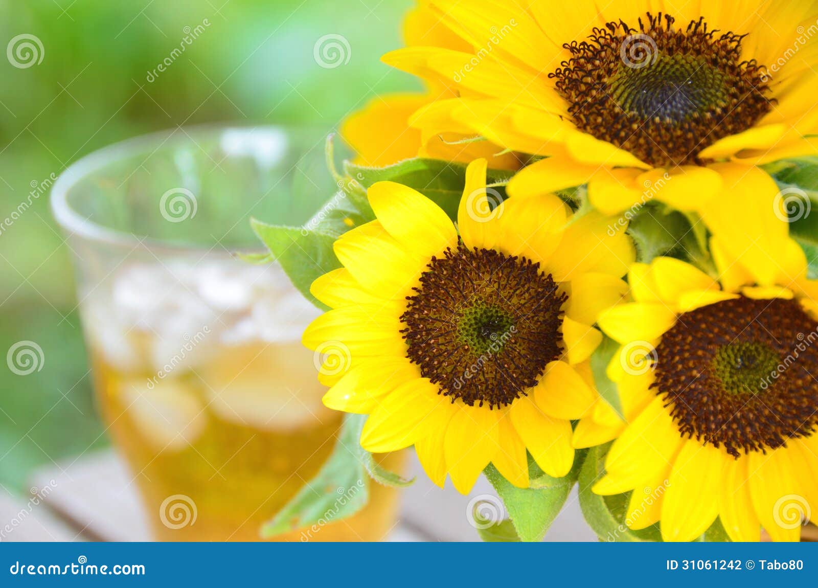 Sunflower and iced tea stock photo. Image of drink, summer - 31061242
