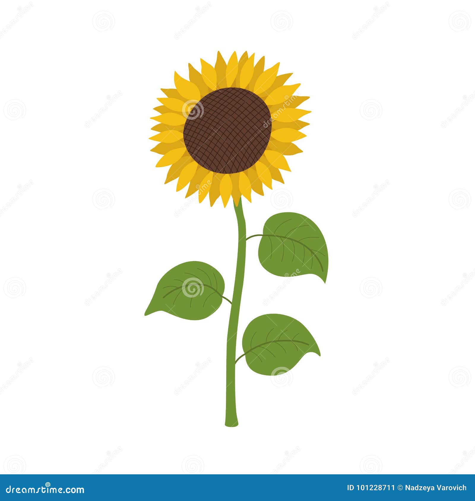 Sunflower icon cartoon. stock vector. Illustration of graphic - 101228711