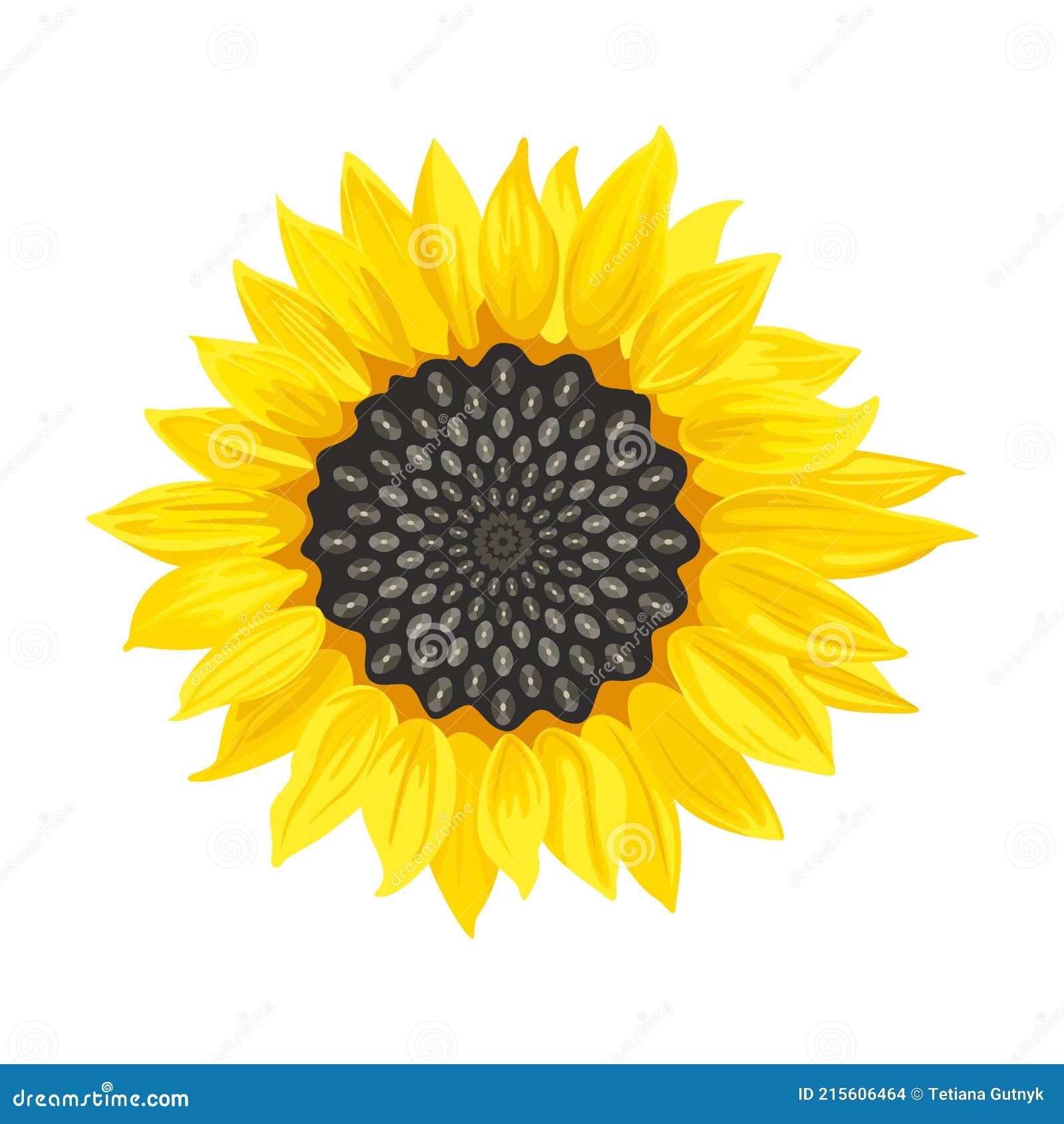 Sunflower Icon Isolated on White. Vector Illustration Stock Vector ...