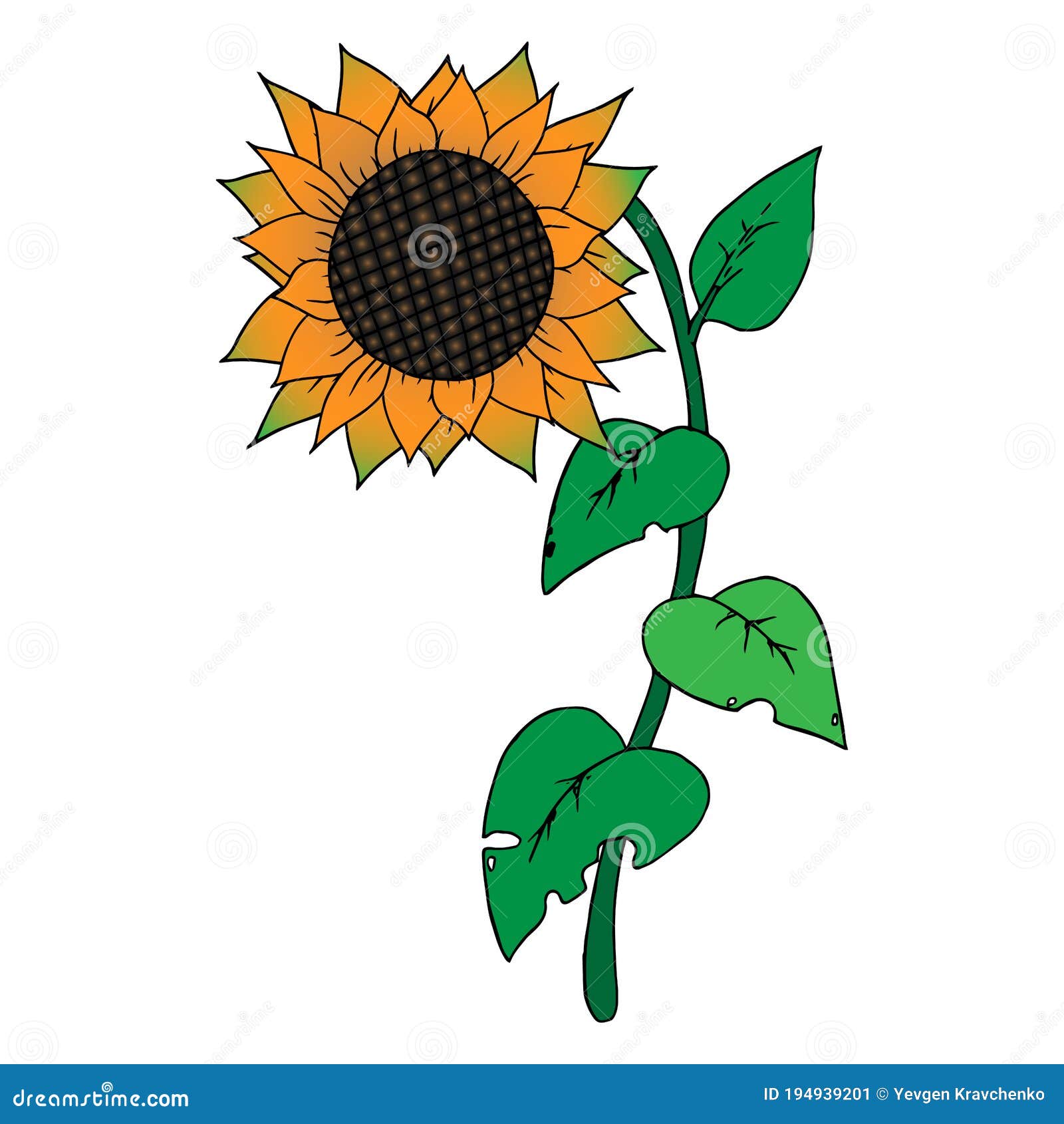 Sunflower Icon. Sunflower on a Stalk with Carved Leaves. Vector ...