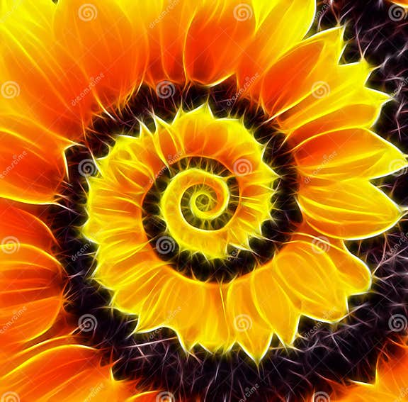 Sunflower Infinity Spiral Abstract Background. Stock Illustration ...