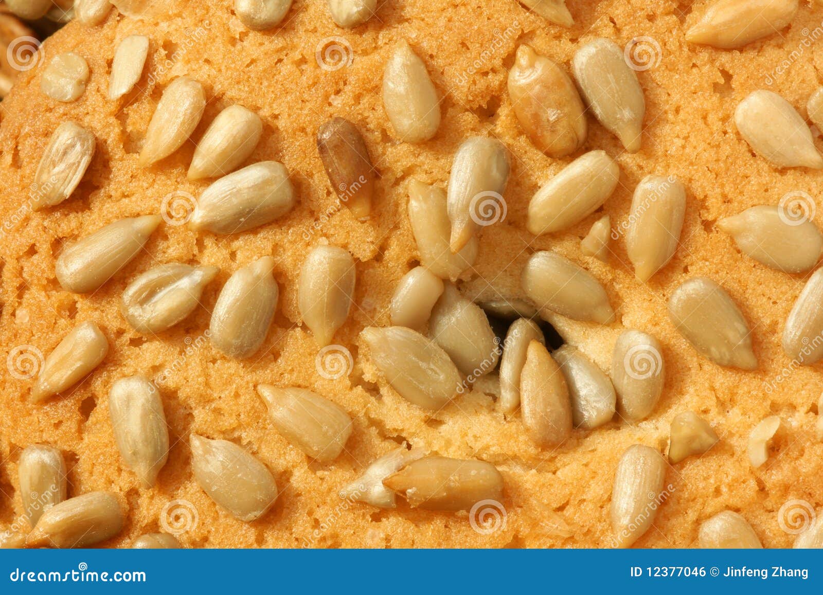 Sunflower kernel cake stock photo. Image of foodstuff - 12377046