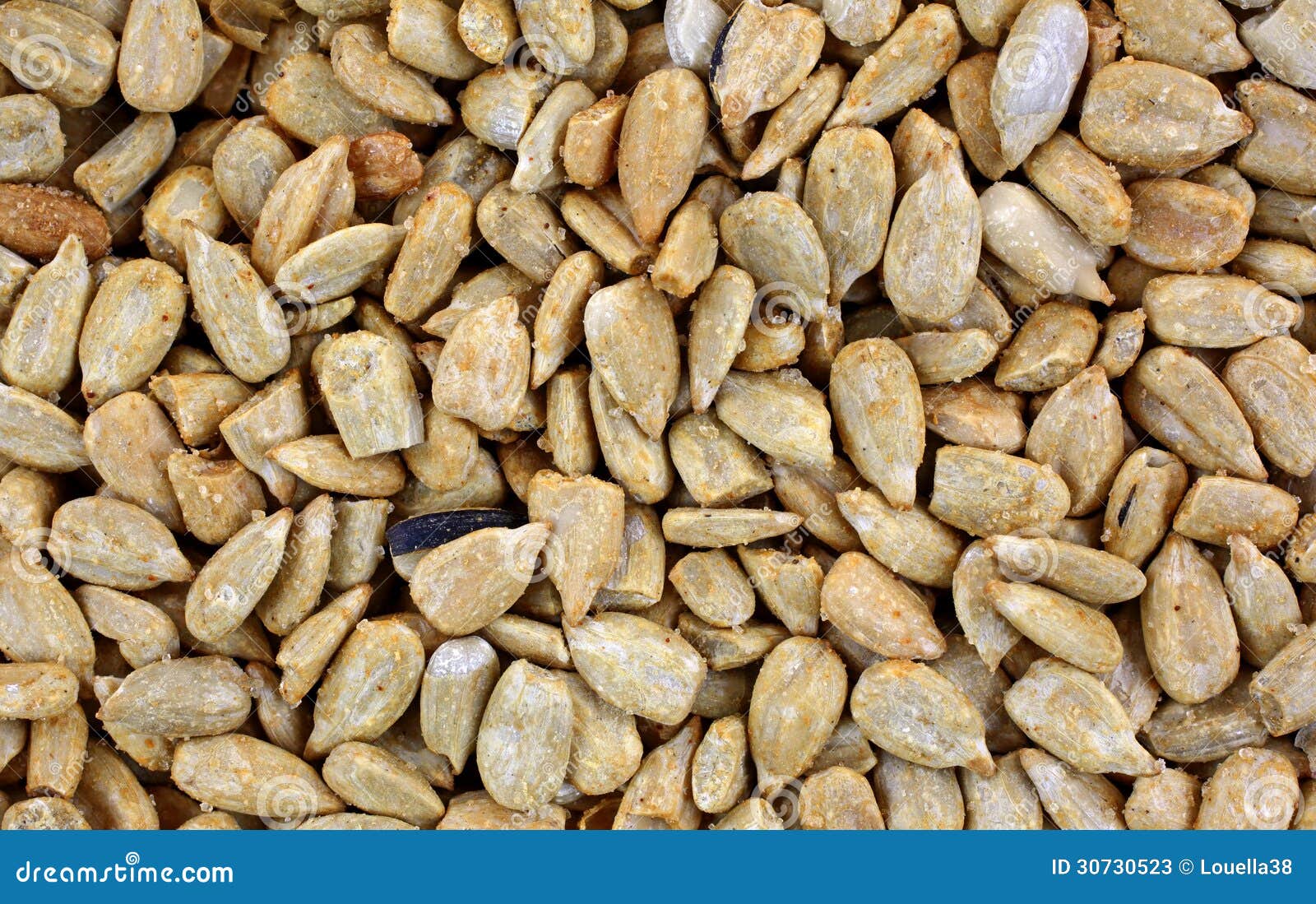 Sunflower Kernels Close View Stock Image - Image of seeds, snack: 30730523