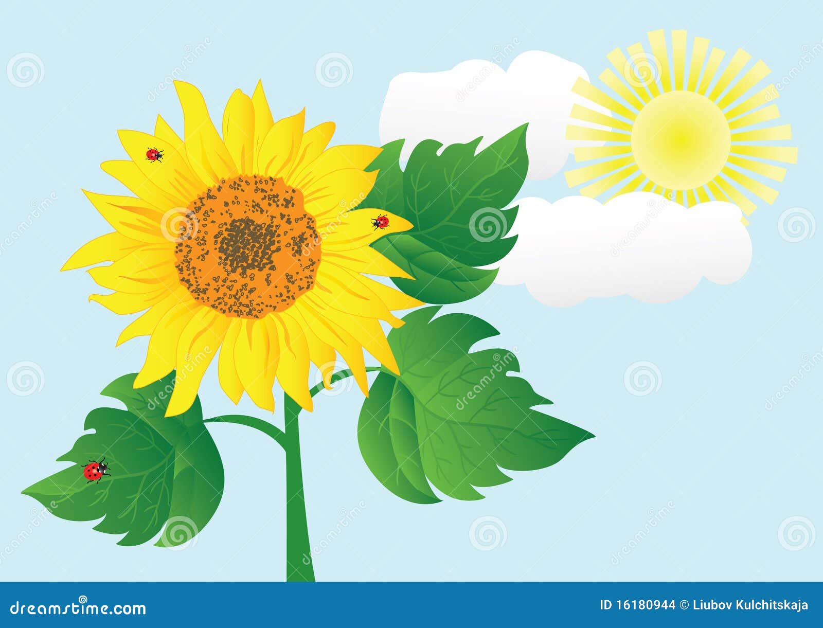 Sunflower with Ladybugs. Vector Illustration. Stock Vector ...