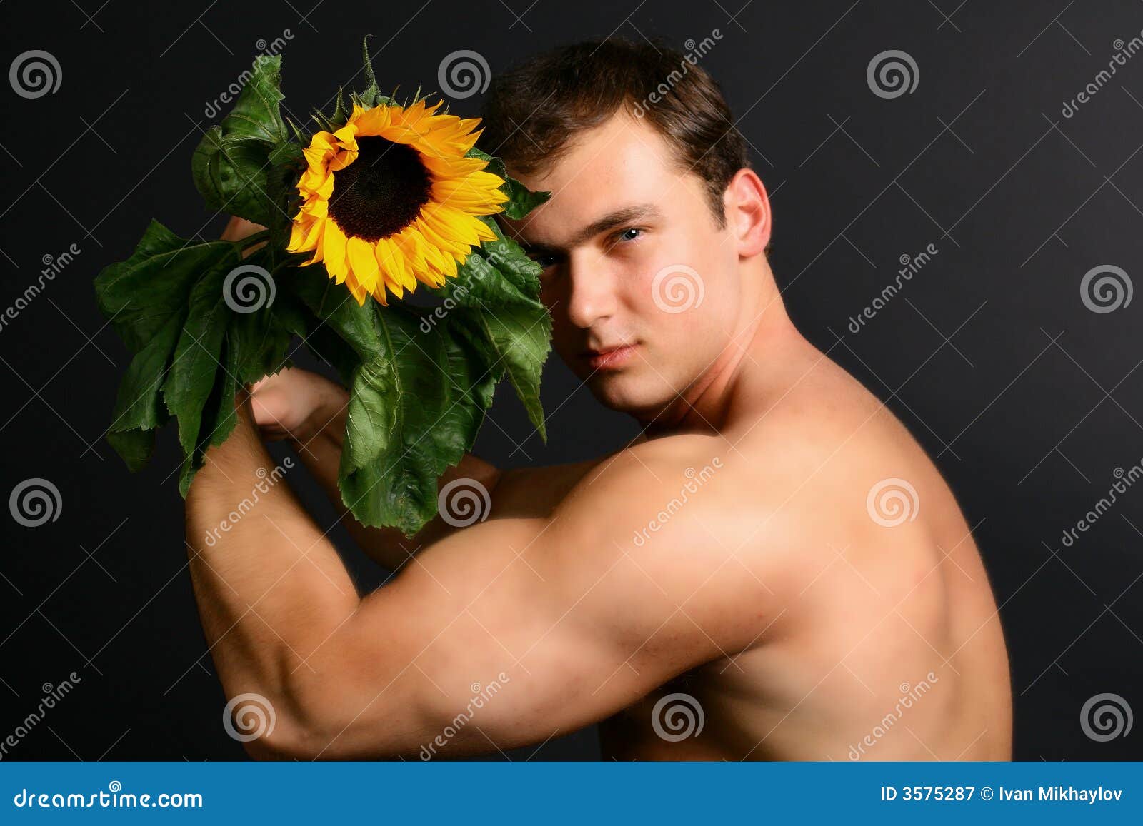 Sunflower man stock image. Image of experience, females - 3575287