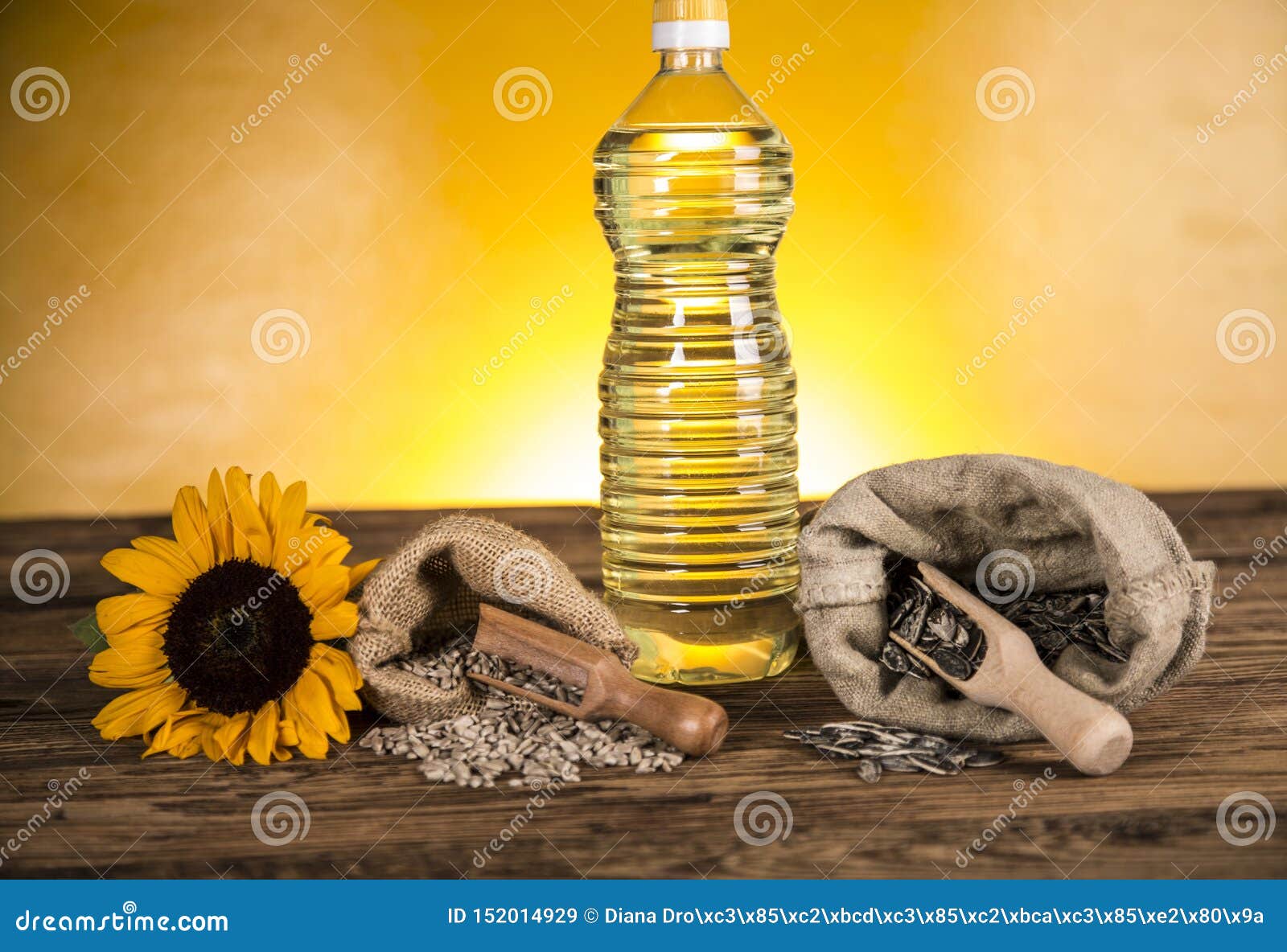 Sunflower Oil in a Bottle and Sunflower Seeds and Sunflower Stock Image ...