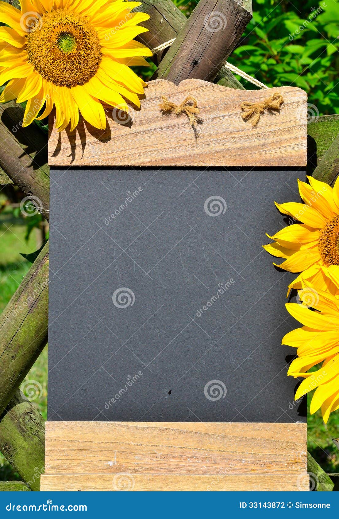 Sunflower panel shield stock photo. Image of shield, word - 33143872
