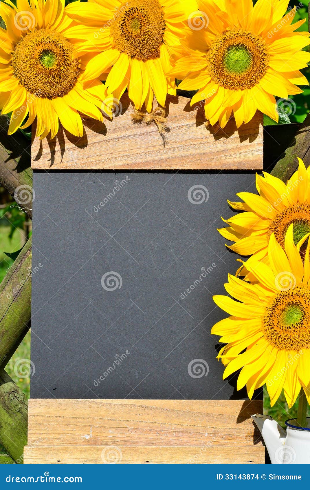 Sunflower panel shield stock photo. Image of text, fixed - 33143874