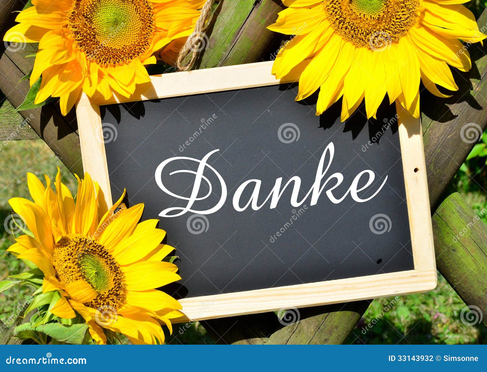 Sunflower panel shield stock photo. Image of sign, reference - 33143932