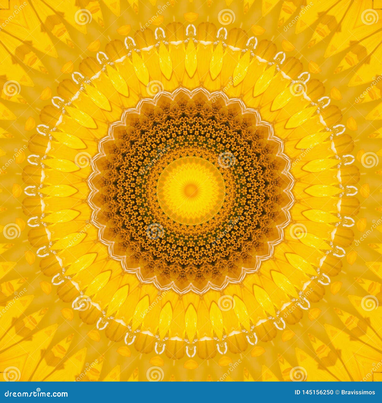 Sunflower Pattern Background Sun Flower. Boho Stock Illustration ...