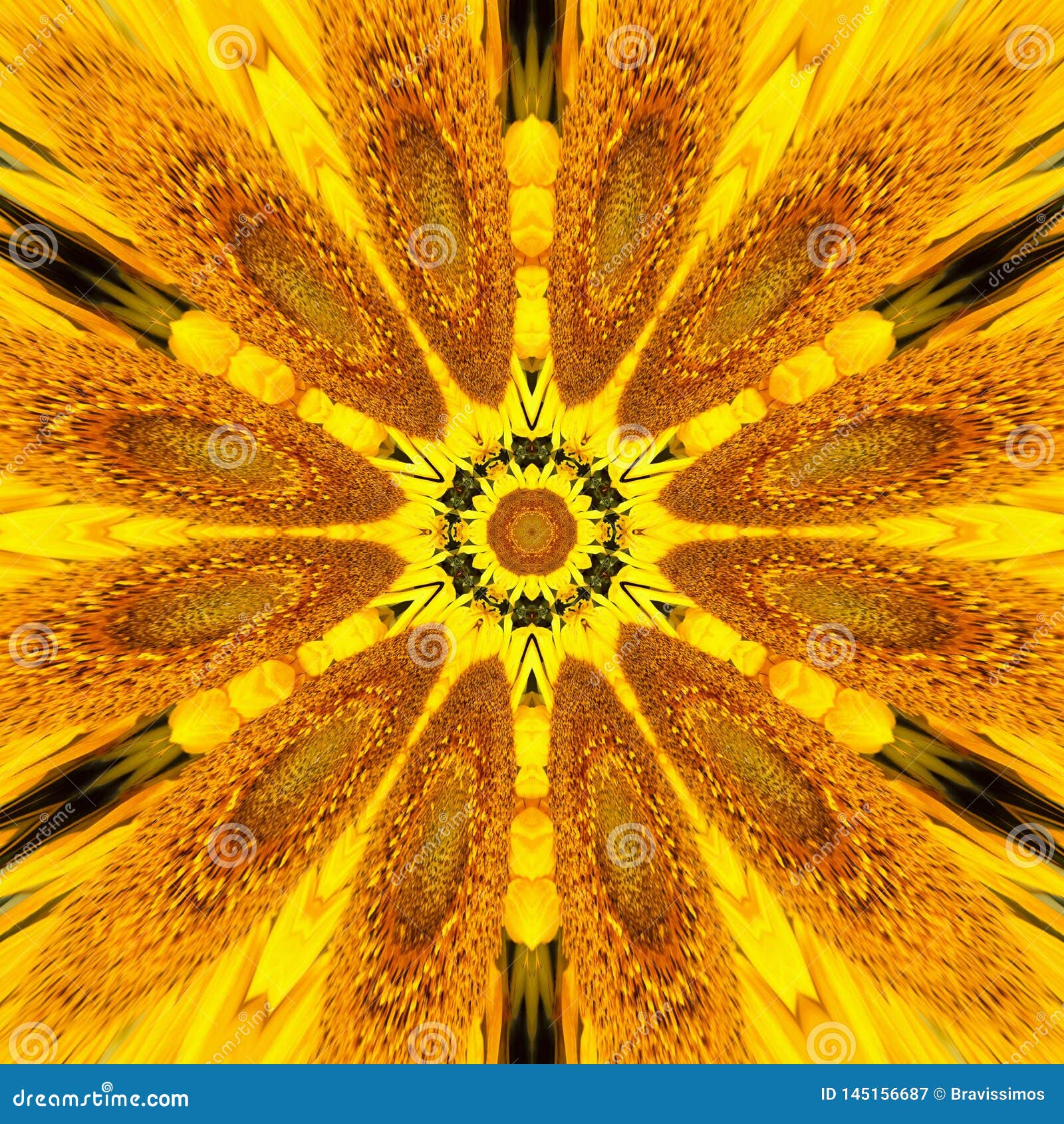 Sunflower Pattern Background Sun Flower. Graphic Boho Stock ...