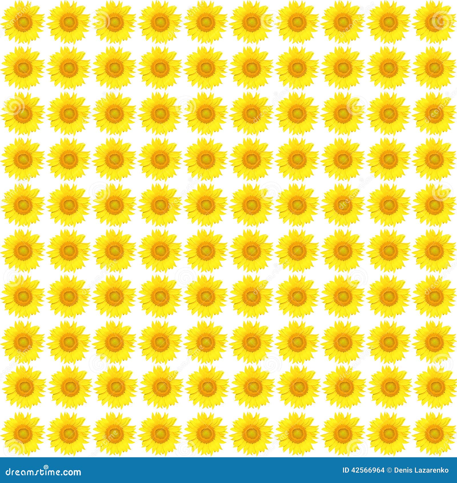 Sunflower pattern stock photo. Image of symmetry, style - 42566964