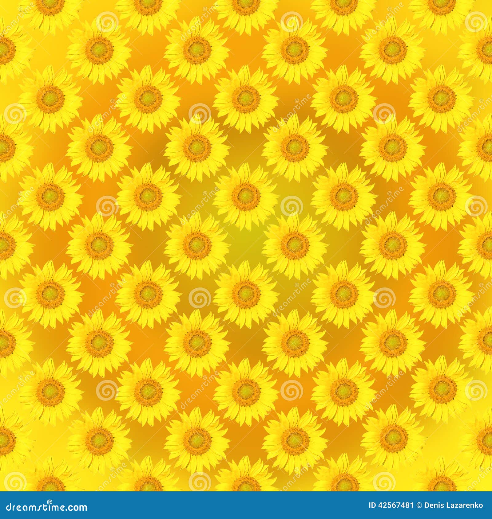 Sunflower pattern stock illustration. Illustration of pattern - 42567481