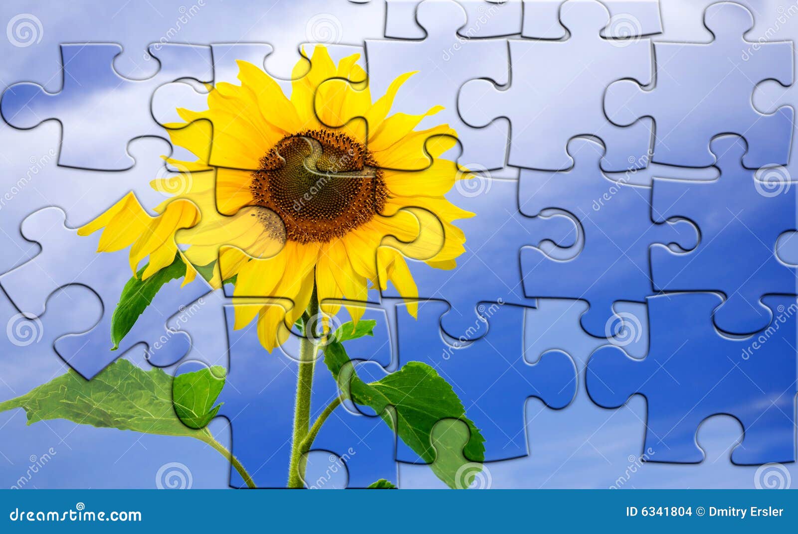 Sunflower puzzle stock photo. Image of outside, blossom - 6341804