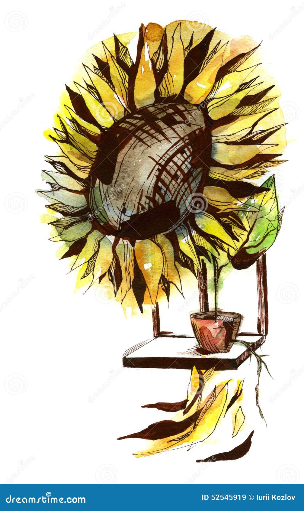 Ripening Sunflower Stock Illustrations – 8 Ripening Sunflower Stock ...