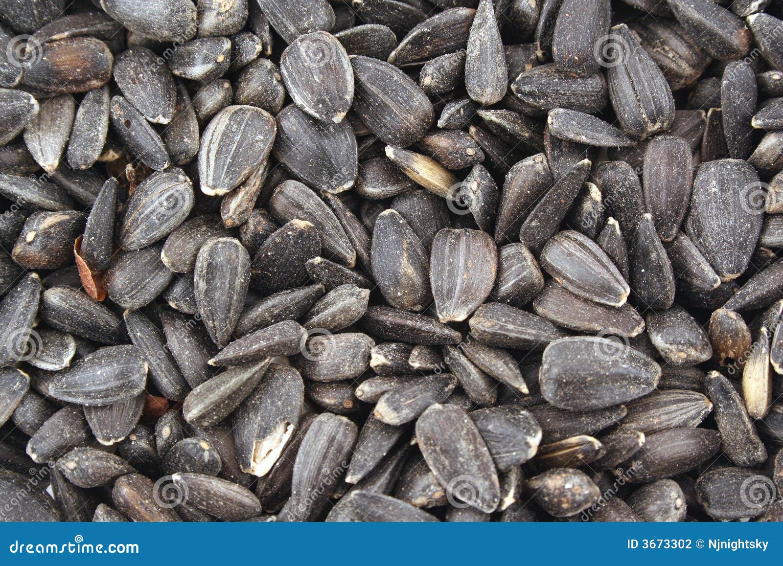 Seed Background Corn Stock Photography | CartoonDealer.com #60952688