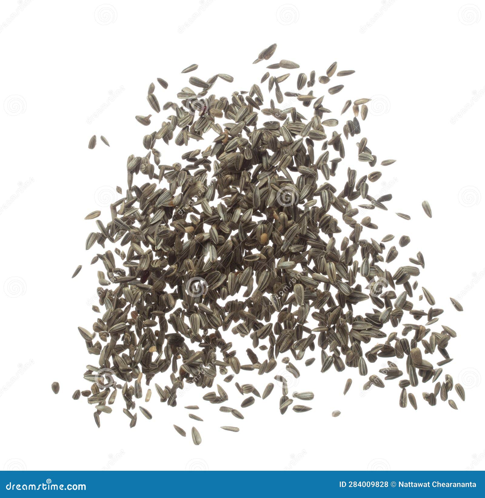 Sunflower Seed Grain Fly in Air. Sunflower Seed Falling Scatter ...