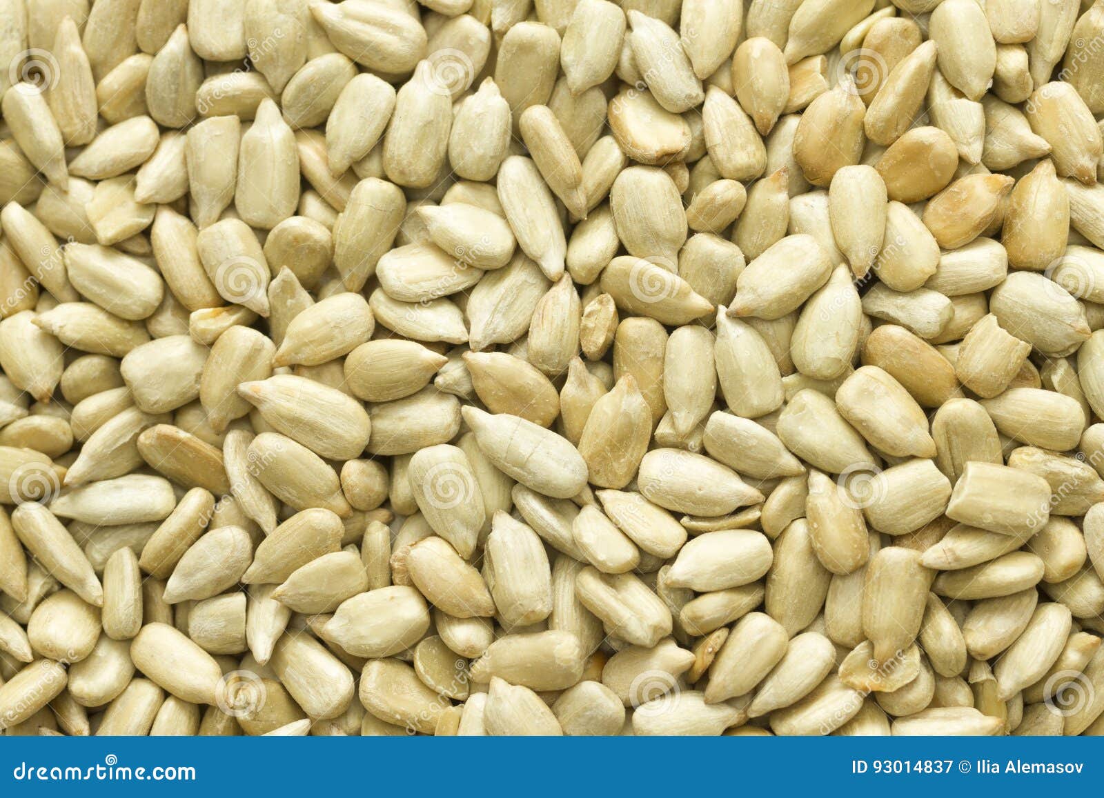 Sunflower Seed Kernel Background Stock Image - Image of seed, grain ...