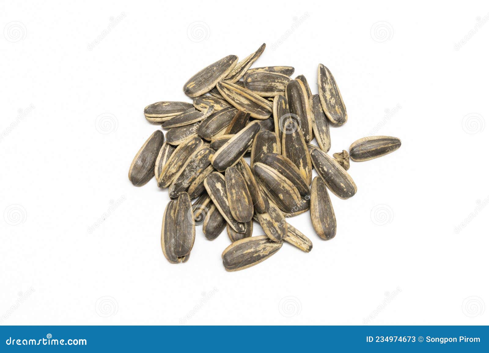 Sunflower Seed Macro Roasted Isolated Stock Image - Image of food ...