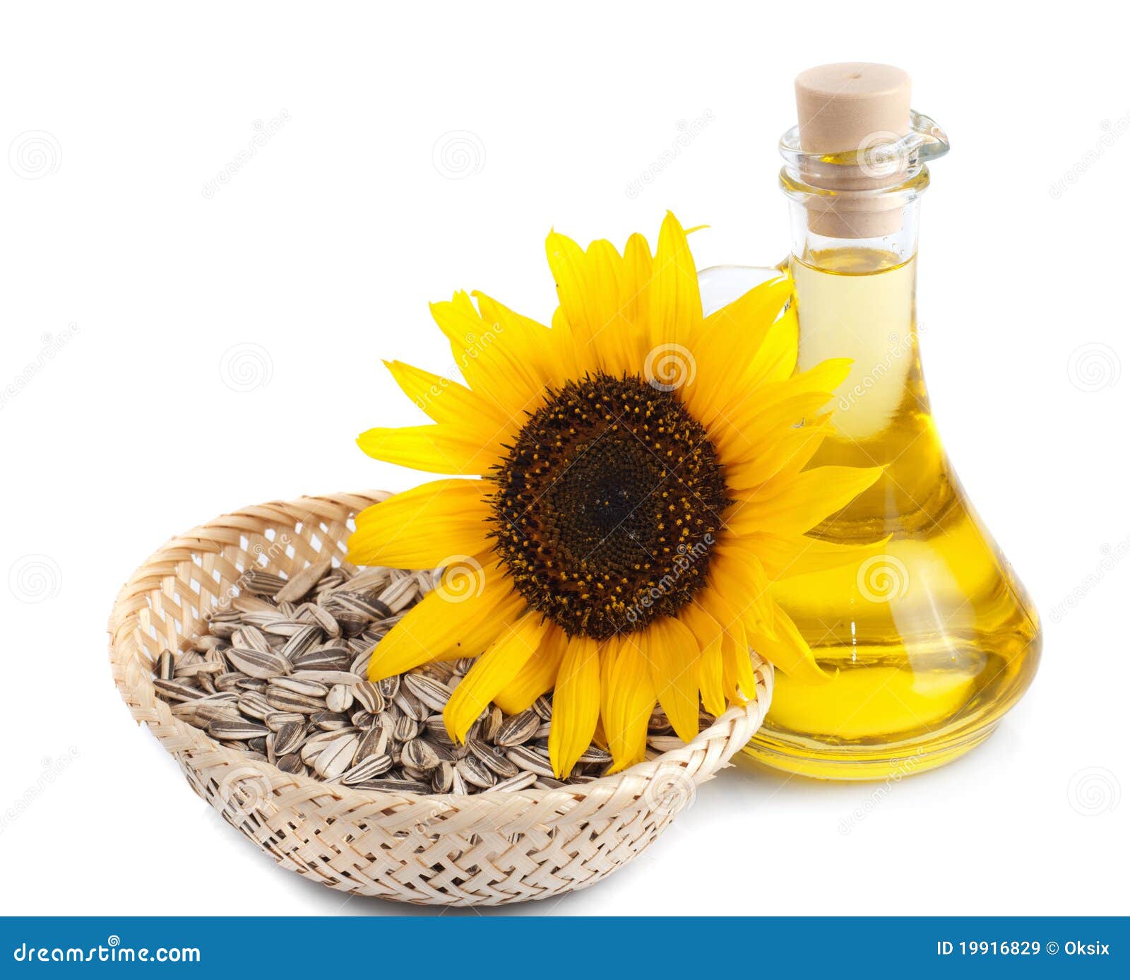 Sunflower seed oil stock image. Image of seed, glass - 19916829