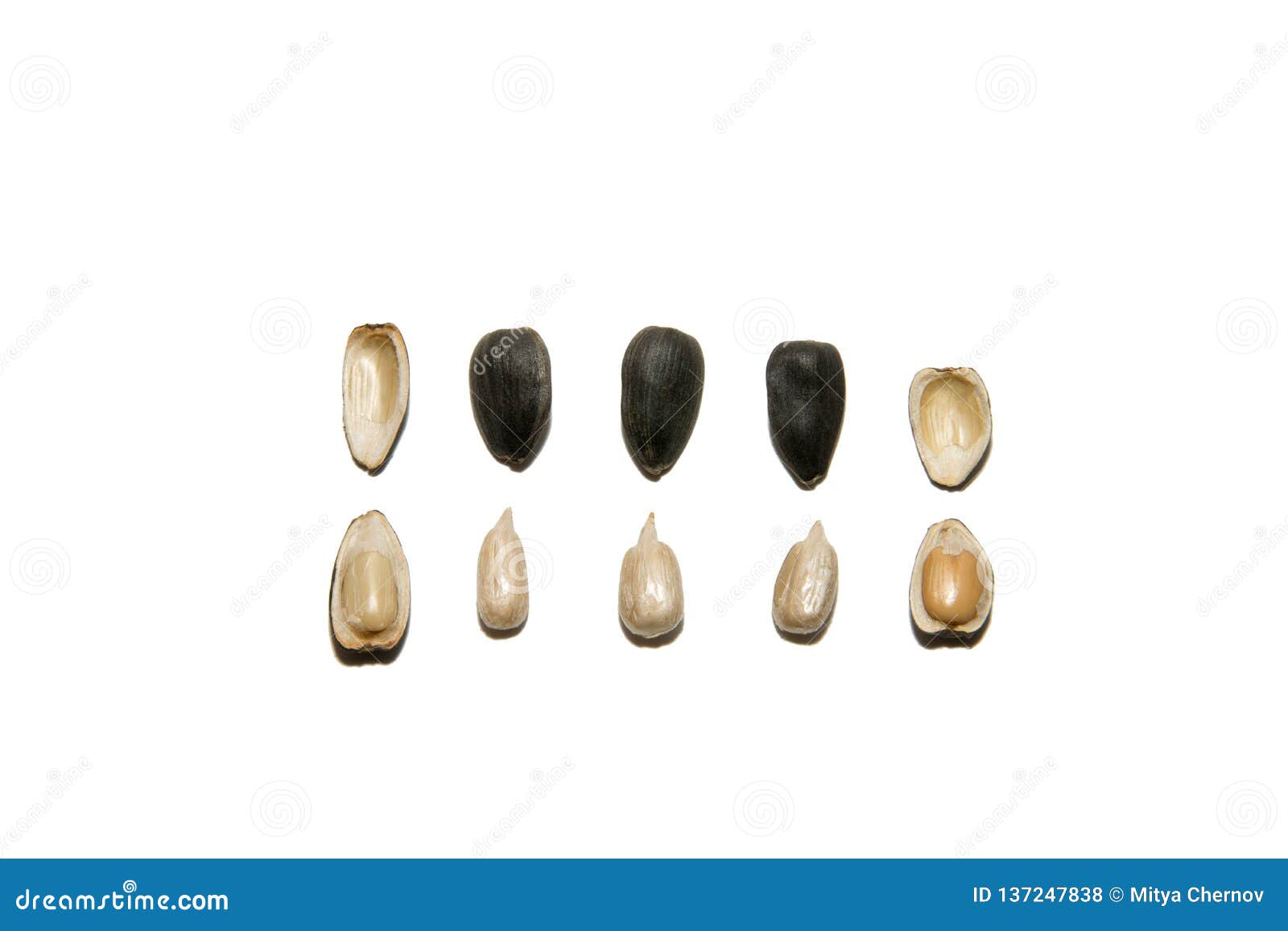 Sunflower Seed. Open Sunflower Seeds. Isolated on White Background ...