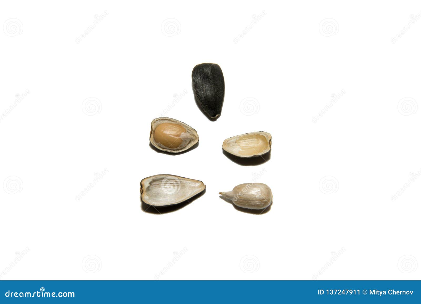 Sunflower Seed. Open Sunflower Seeds. Isolated on White Background ...