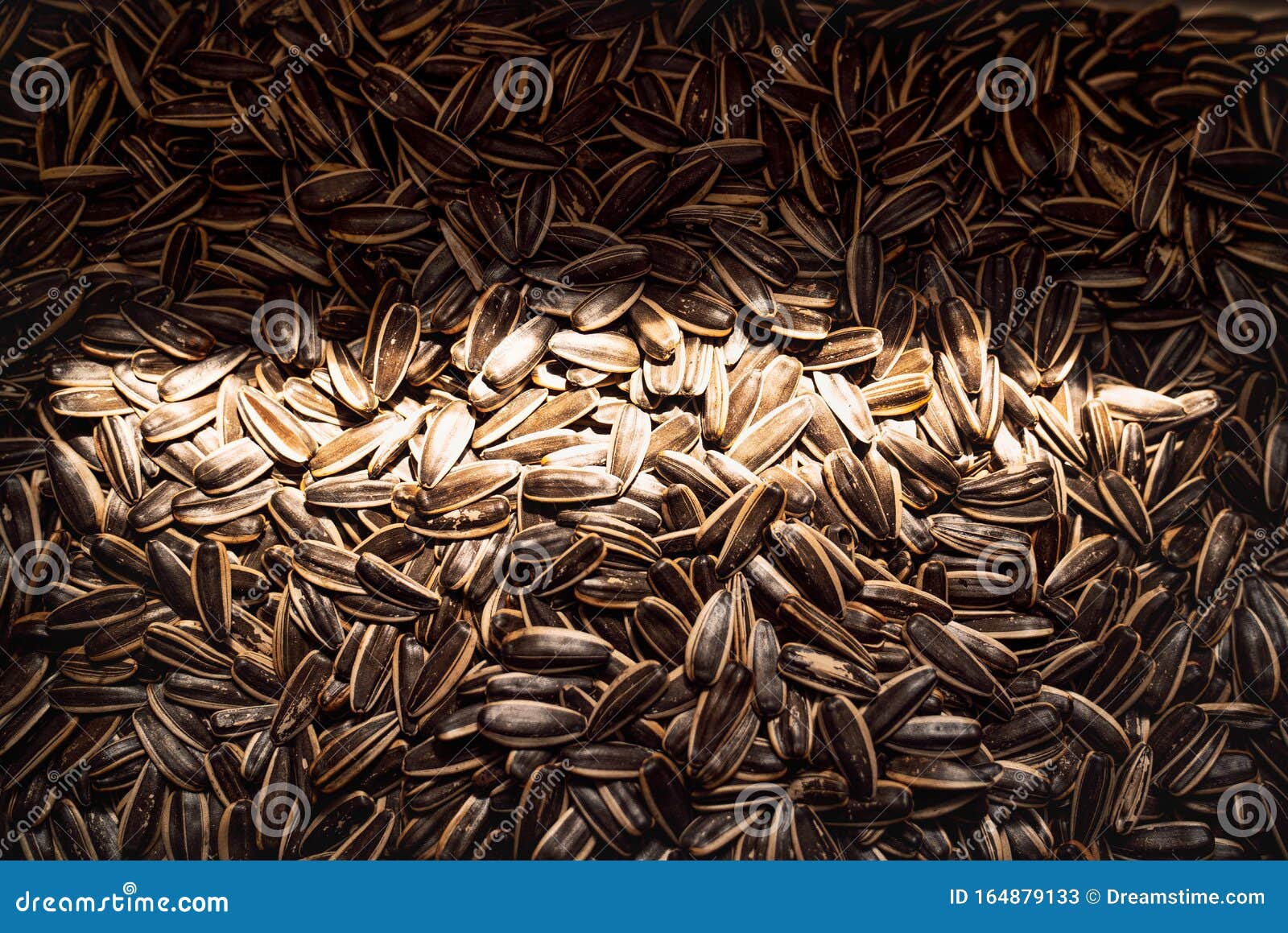 Sunflower Seed Texture with a Sun Ray Stock Image - Image of crop ...