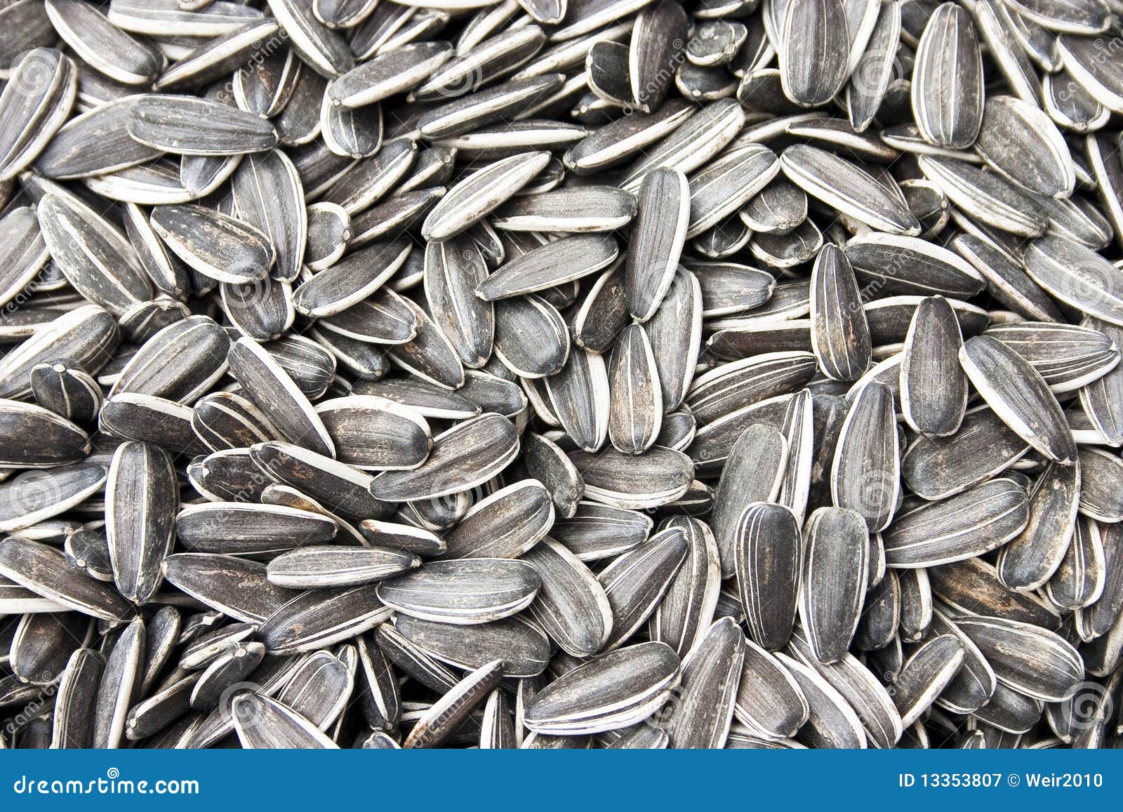 Sunflower Seeds And Agricultural Field Of Yellow Sunflowers Shown In A ...