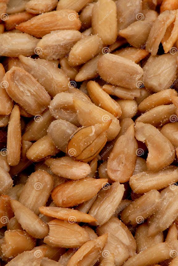 Sunflower Seeds 2 stock image. Image of sunflower, healthy - 1323269