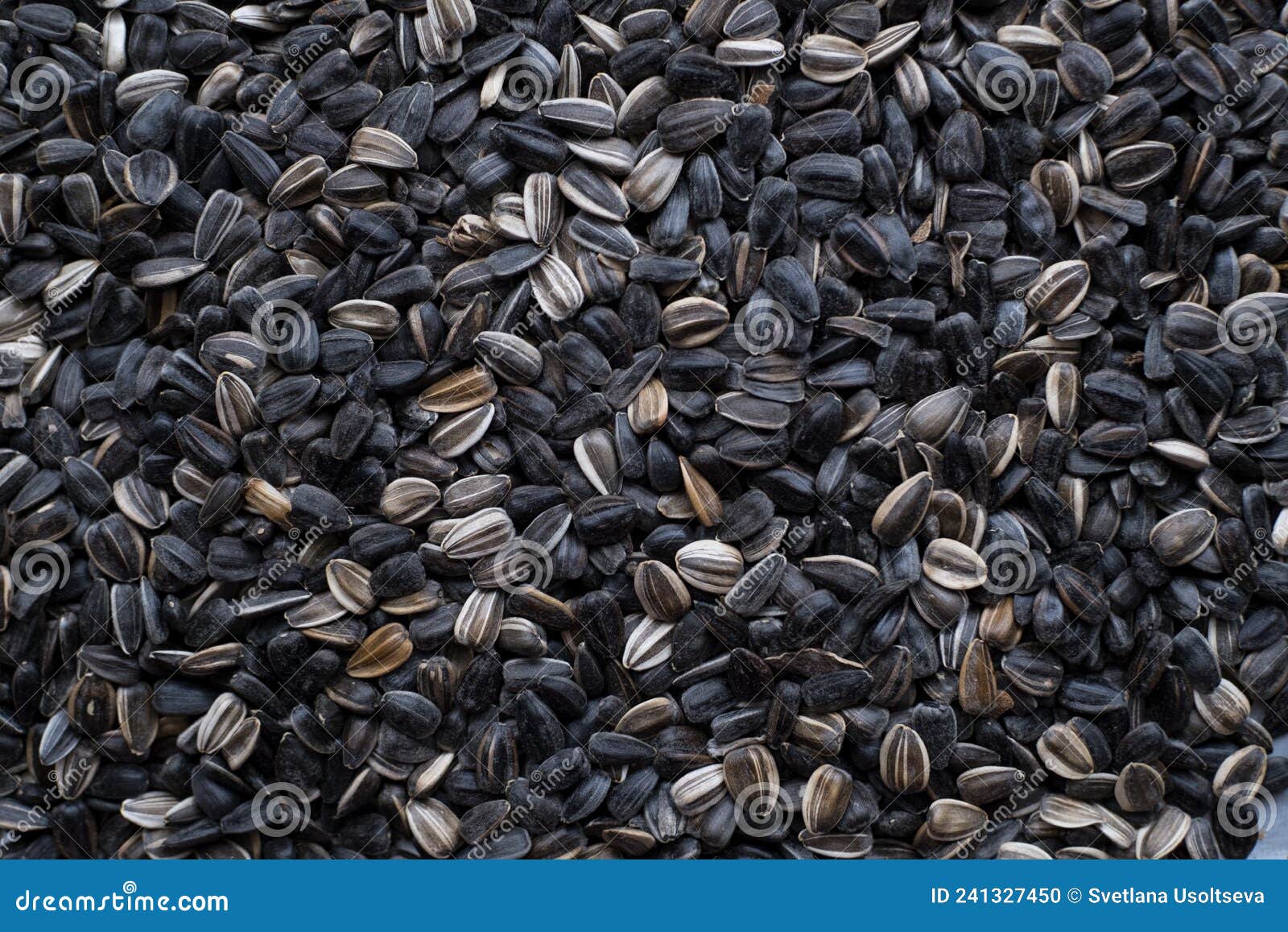 Sunflower Seeds Background, Roasted Seeds Close-up. Sunflower Seeds ...