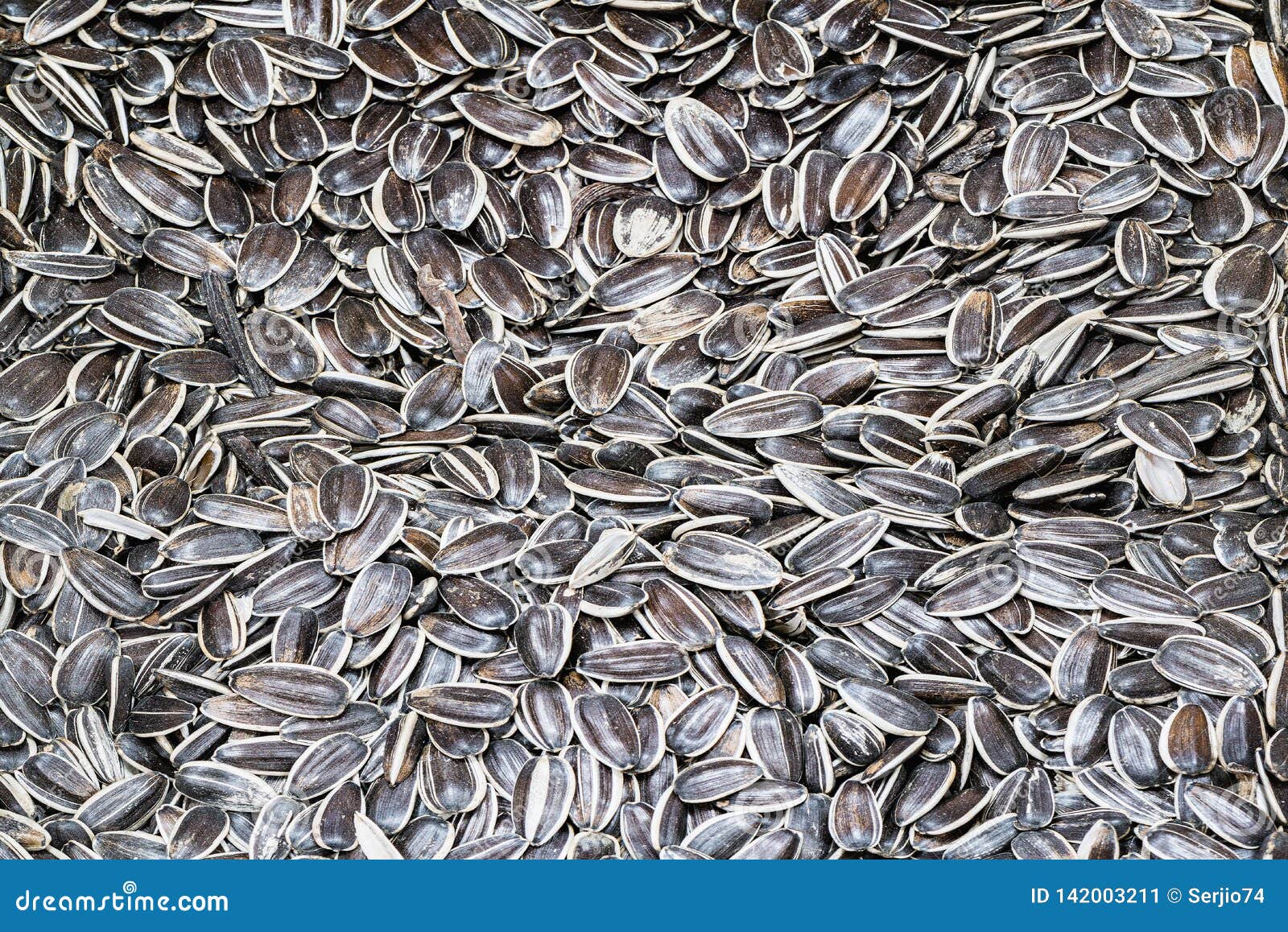 Sunflower Seeds in the Box. Stock Image - Image of wallpaper, gourmet ...