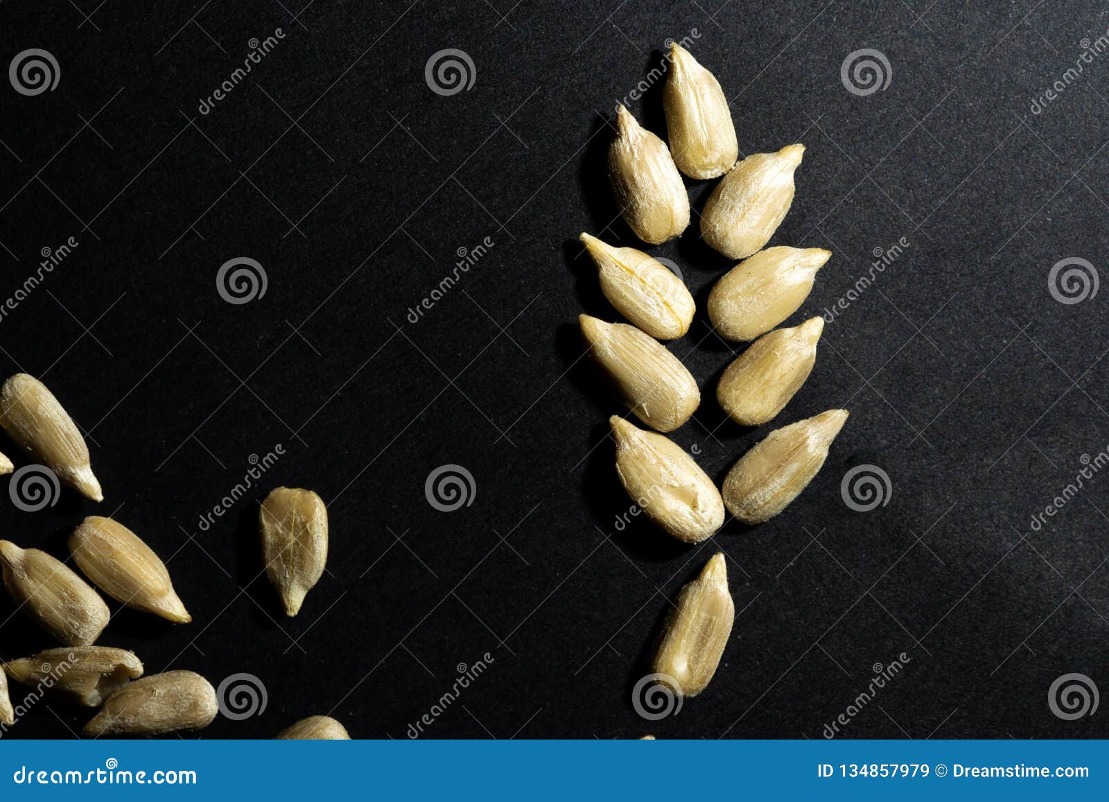 Sunflower Seeds Class on Black Background Stock Image - Image of seed ...