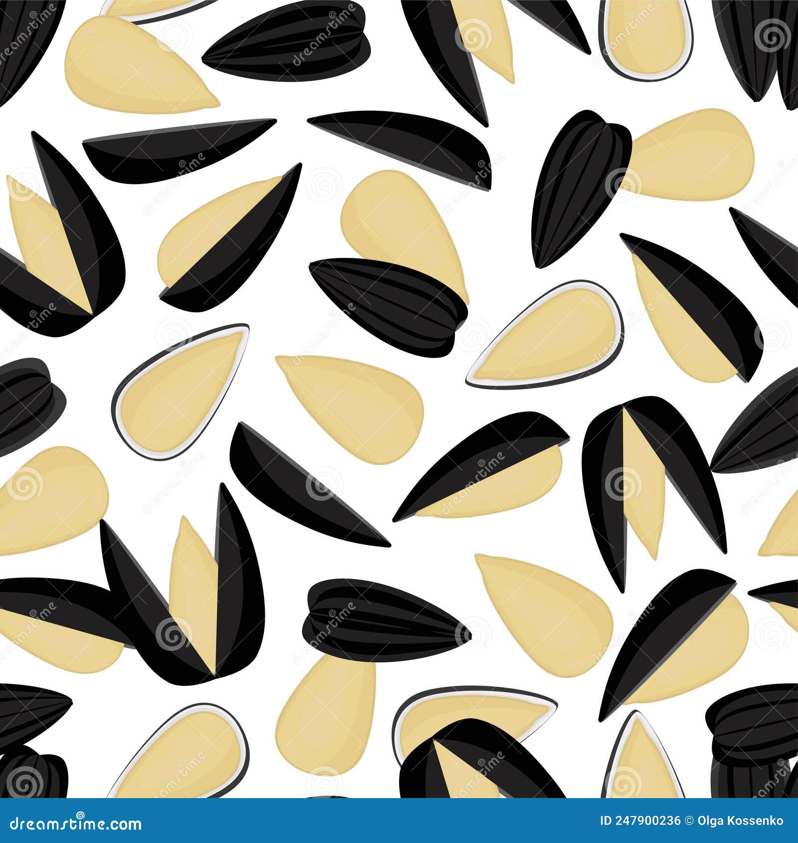 Sunflower Seeds. Color Seamless Pattern Stock Vector - Illustration of ...