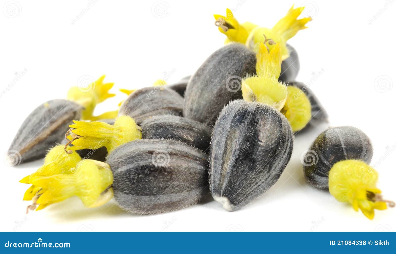 Sunflower Seeds Corolla Stock Photos - Free & Royalty-Free Stock Photos ...