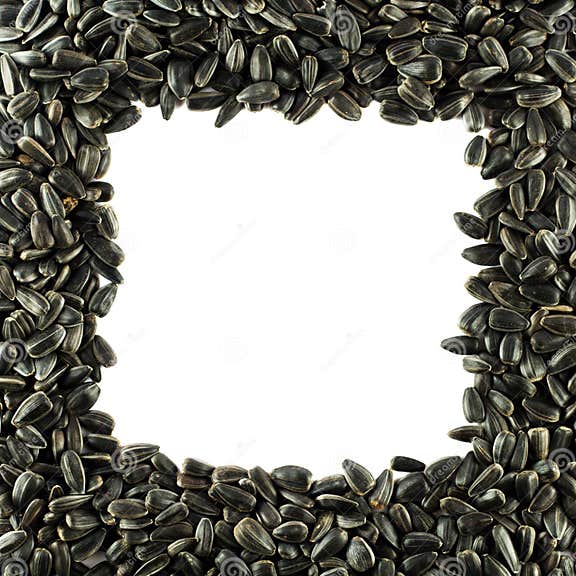Sunflower seeds frame stock image. Image of macro, ingredient - 11613203