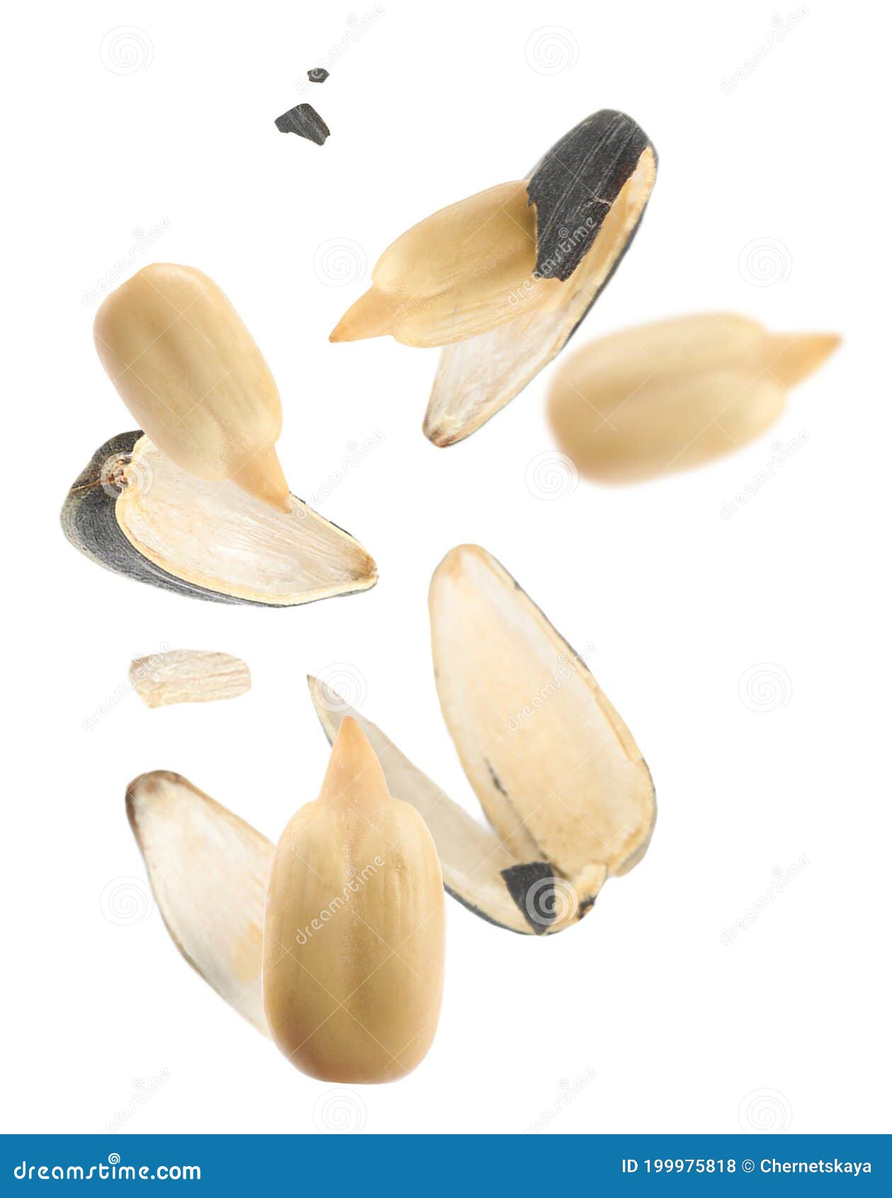 Sunflower Seeds with Hull Flying on White Background Stock Photo ...
